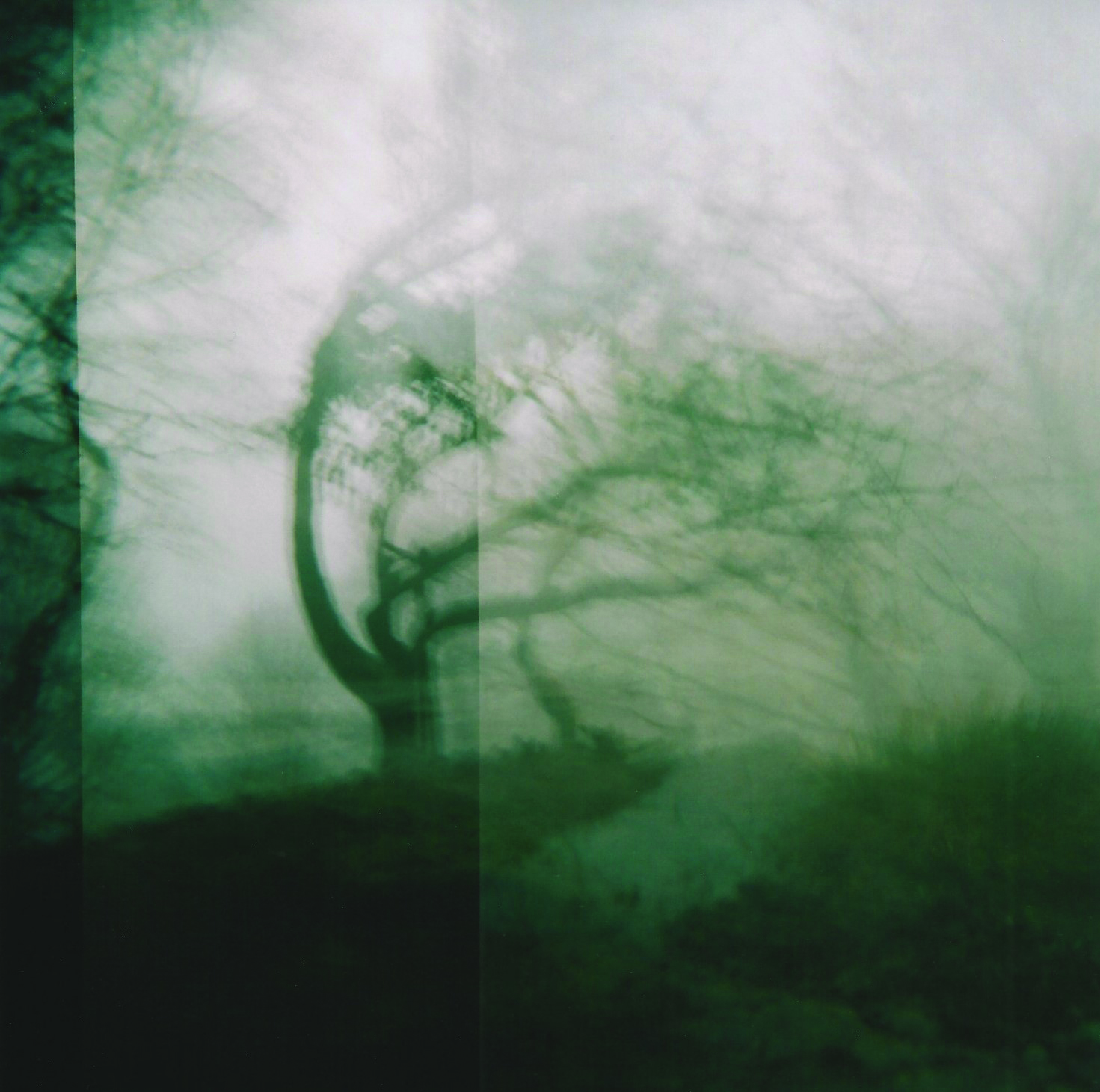 Steph Shipley